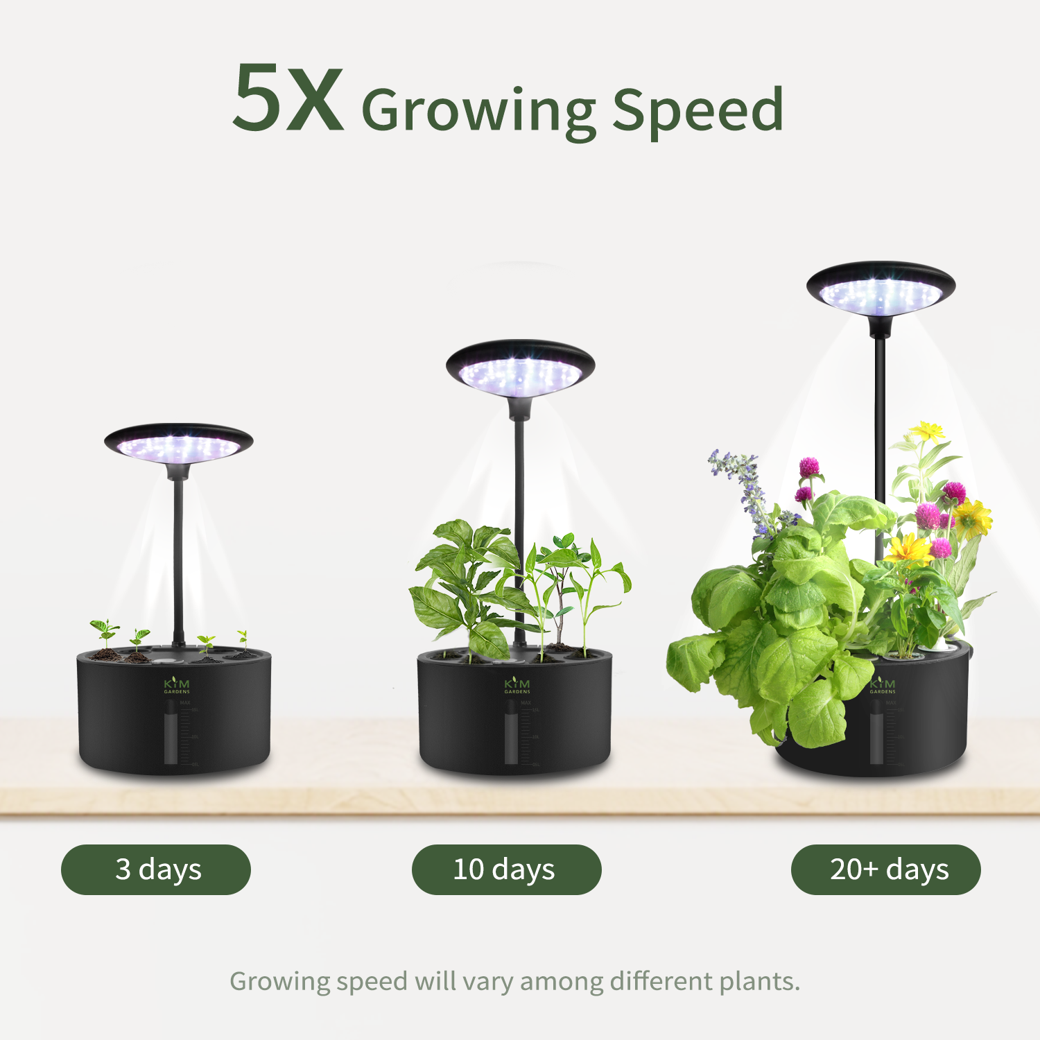LITE GARDEN | Small but mighty – Kim Gardens | A smart way of gardening